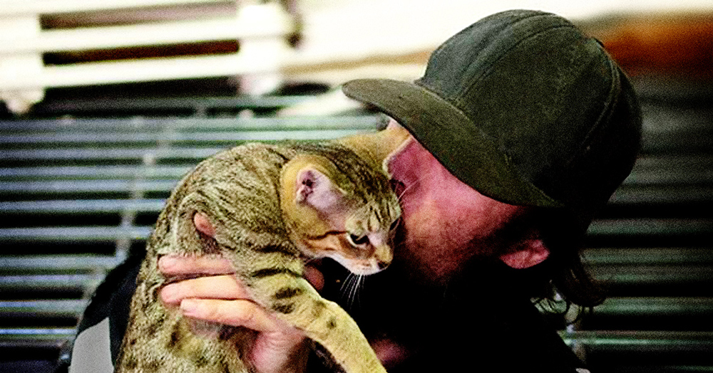 brian and cat - CrosslightCrosslight